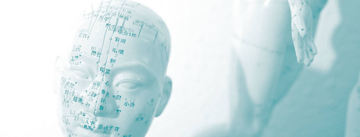 TCM Ausbildung Schweiz & Schule für trad. Chinesische Medizin