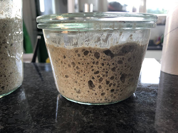 Sauerteigstarter Und brot So Wird s Gemacht Sauerteigstarter Und brot So Wird s Gemacht